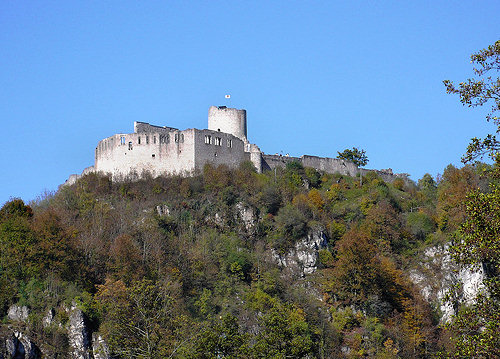 Burgenseite: Burgruine Kallmünz