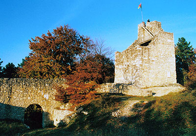 Burgenseite: Burgruine Velburg